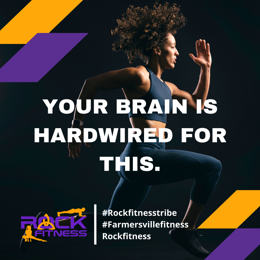 Your brain is hardwired for this - Rock Fitness